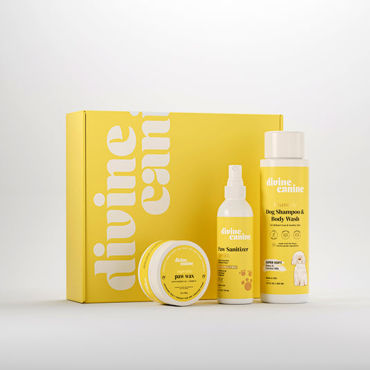 Made for Dogs with Human-Grade Ingredients | Divine Canine