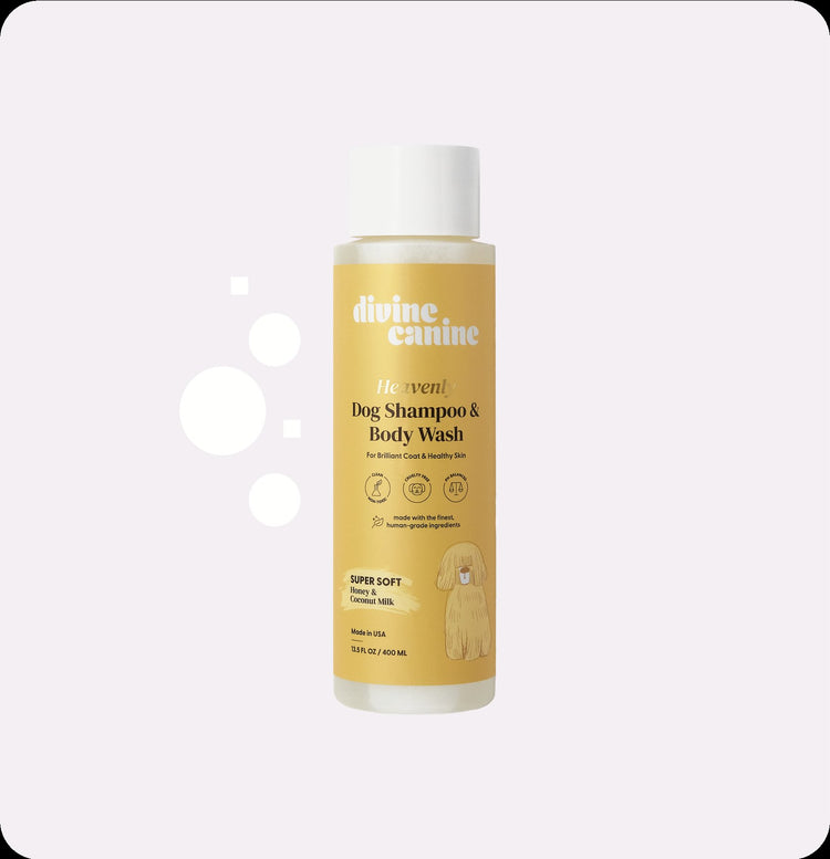 Made for Dogs with Human-Grade Ingredients | Divine Canine