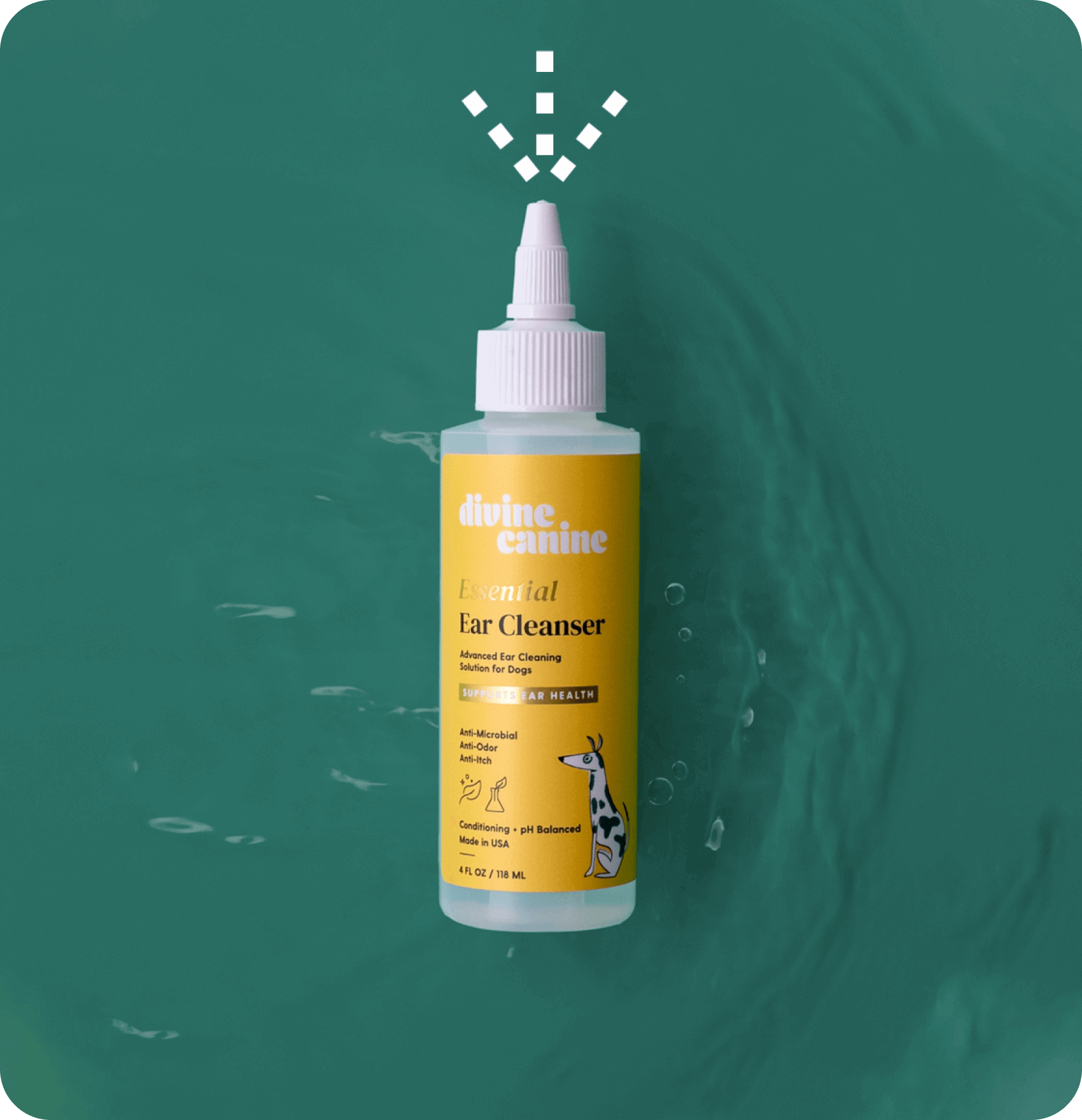 Made for Dogs with Human-Grade Ingredients | Divine Canine